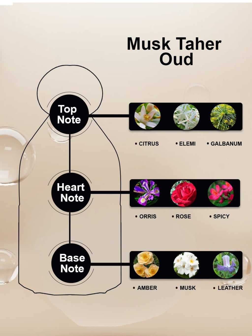 Otoori Musk Taher Oud EDP Perfume 80ml – Beautybaskets.in